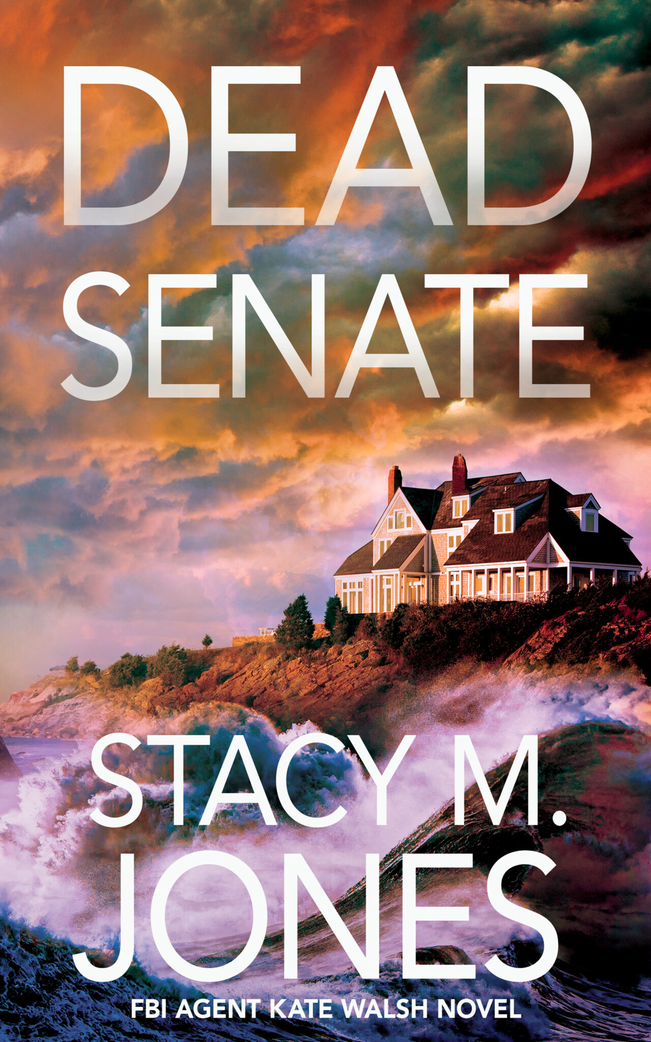 FBI Agent Kate Walsh Series | Stacy M. Jones